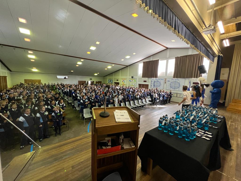 Volg Doccie – Doccie Shields